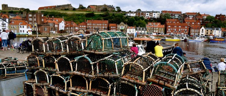 Fish and Ships Festival 2020 | Visit Whitby What's On Guide